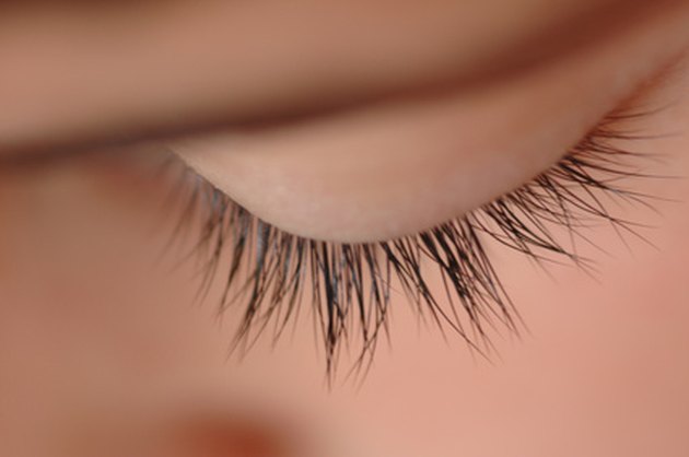 Eyelash Growth Cycle - Blog Eyelash Growth Cycle